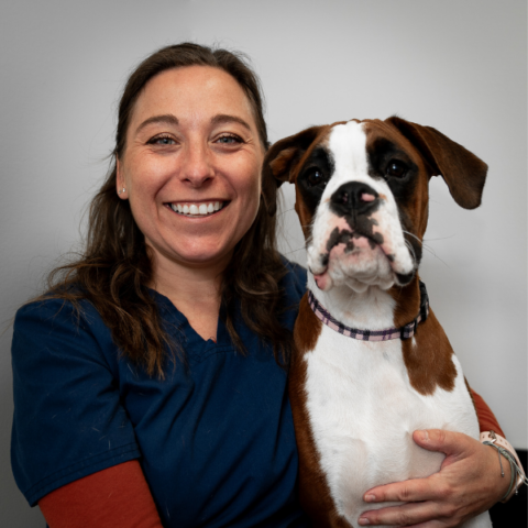 Veterinarian In Byron Center, MI 49315 | Byron Center Animal Hospital